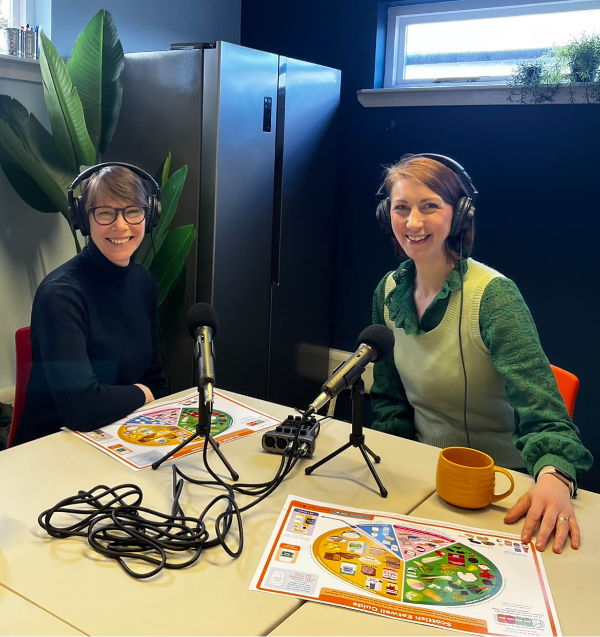 Scottish Eatwell Guide - Dr Laura Wyness, Menopause Nutritionist and ...